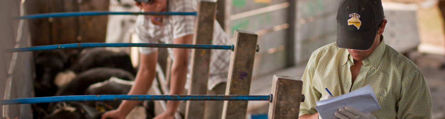 Animal Welfare - Austrex